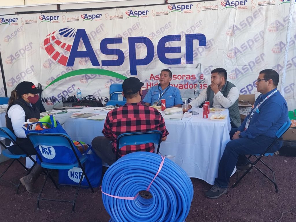 Galeria – Asper | Bufalo