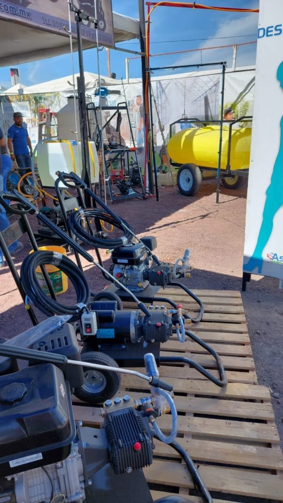 Galeria – Asper | Bufalo