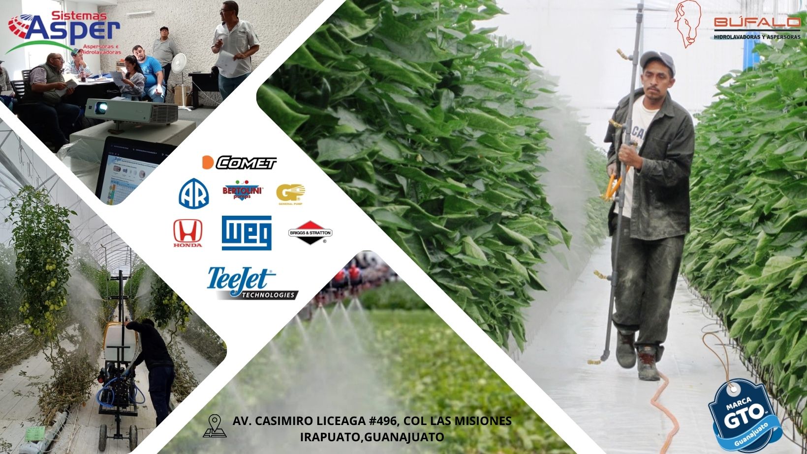 Contact – Asper | Bufalo